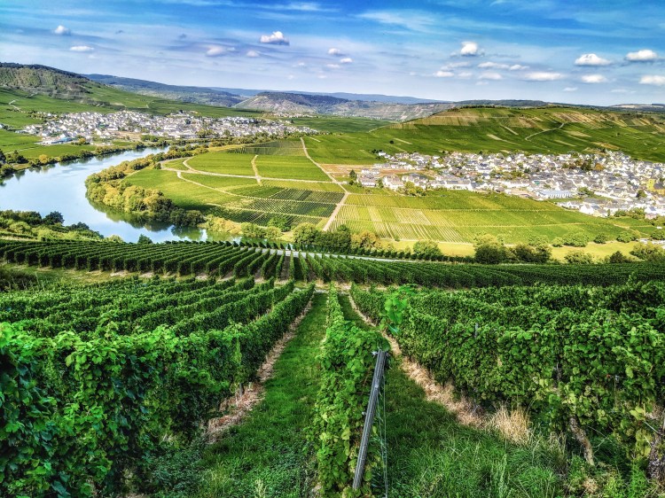 Road Trip & Rieslings Along The Meandering Mosel – Luxury Meister